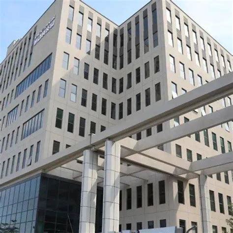 投资15亿元东莞又一重大项目建成在这个镇 制造