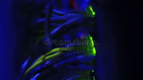 Blinking Network Ports On A Router Stock Video Video Of Equipment Business