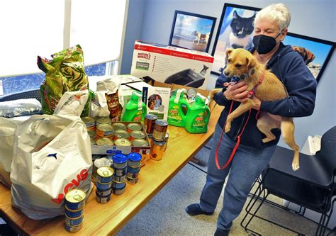 Animal Shelter Donate