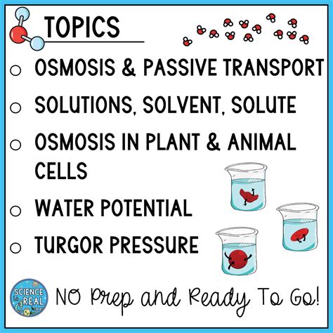 Osmosis Amoeba Babes Video Handout Science Is Real Education