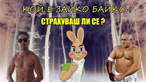 Кой е Зайко Байко Защо Руди Гела се плъзга по гърба на Бойко Борисов кръстосан огън в