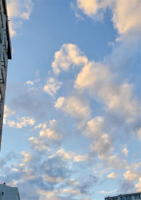 그림 같은 저녁 구름 유머움짤이슈 에펨코리아