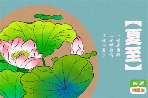 夏至将至养阳气护元气健康一整年