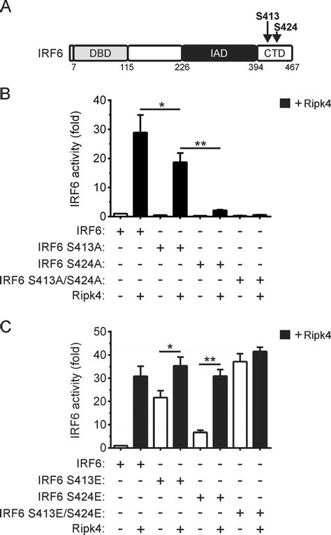 Identification Of Ripk4 Dependent Regulatory Phosphorylation Sites In Download Scientific