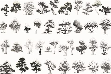 Premium Photo Minimal Style Cad Tree Line Drawing Side View Set Of
