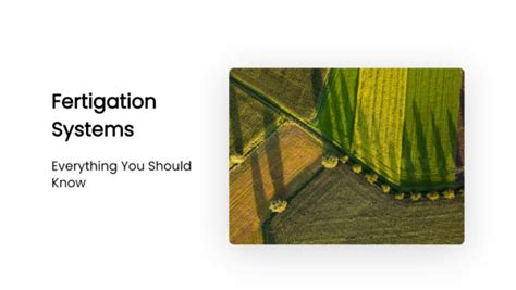 Fertigation Systems Pros And Cons You Should Know In 2022 Ez Flo