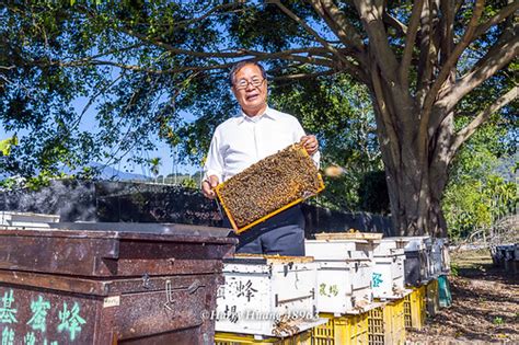 Harry 48963 養蜂達人 賴朝賢 職人 蜂巢片 蜂箱 養蜂 蜜蜂養殖 蜂蜜 宏基蜜蜂生態農場 宏基蜂蜜 埔里 Flickr