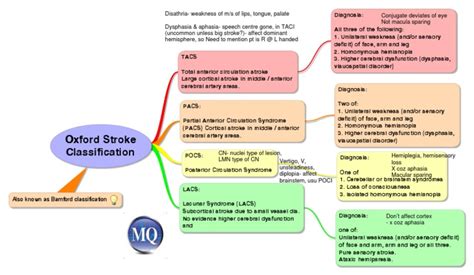 Oxford Stroke Classification Pdf Cerebral Cortex Aphasia