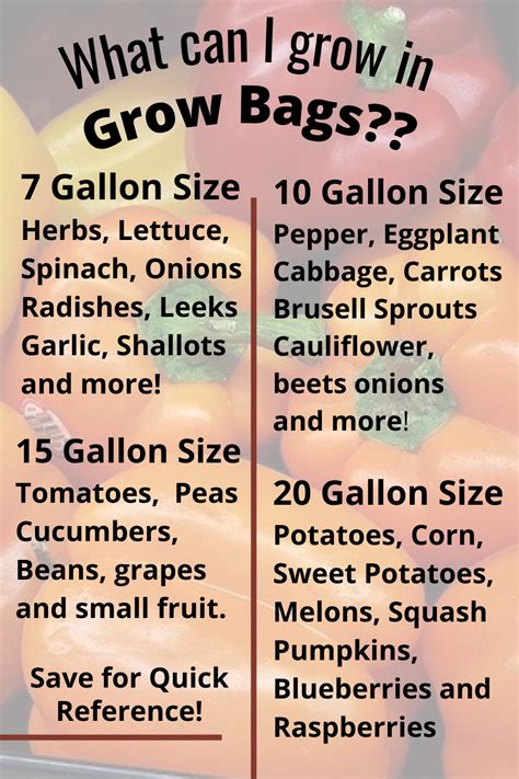 Discover The Best Vegetables To Grow In Grow Bags