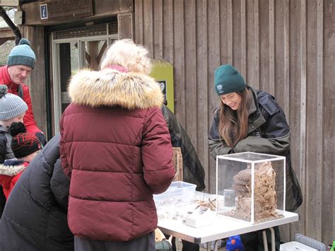 Chilterns Nordic Walkers Added Chilterns Nordic Walkers