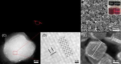 A Schematic Of The Fabrication Of Gd Tcpp Nanosheets B E Sem And C Download Scientific