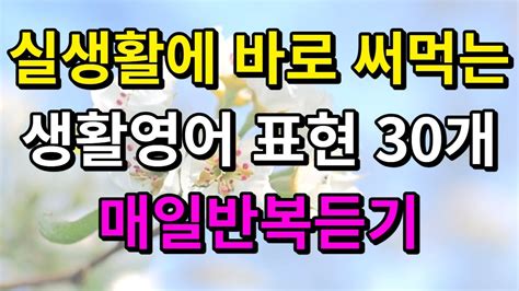 생활영어 57 쉬운영어 실생활에서 바로 써먹는 영어회화 표현 30문장 쉐도잉영어 매일매일 반복듣기 Youtube