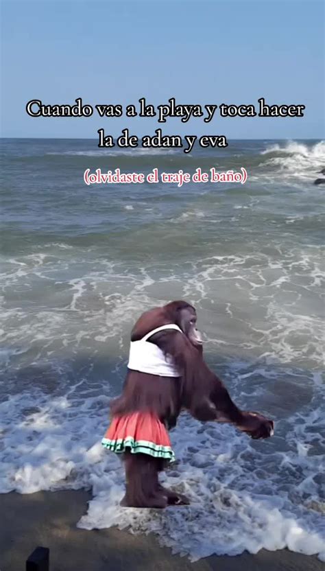 Señor En Tanga El Meme Perfecto Para La Playa Tiktok