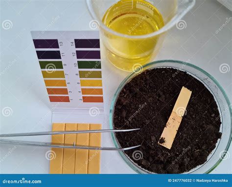 Litmus Indicator For Testing Soil In Laboratory Stock Photo Image Of Strip Soil 247776032