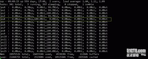 如何让linux程序运行在多cpu？ 犀牛安全 云计算 Jxwpx的技术博客 51cto博客