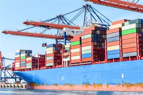 Msc Shatters Records Surpasses 6 Million Teus Amidst Explosive Market Growth More Than Shipping