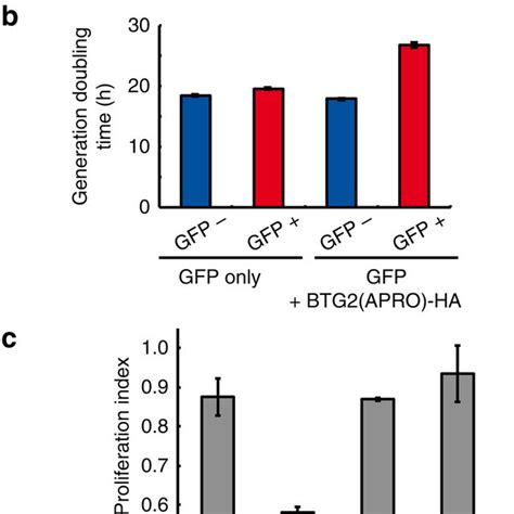 Pdf Btg2 Bridges Pabpc1 Rna Binding Domains And Caf1 Deadenylase To