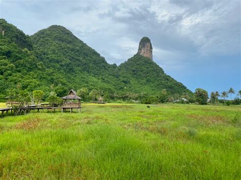 ตลาดริมน้ำคลองแดน Klongdaen Floating Market อาหาร จากคลอง จากทะเล ธรรมชาติให้มา ภูมิปัญญา