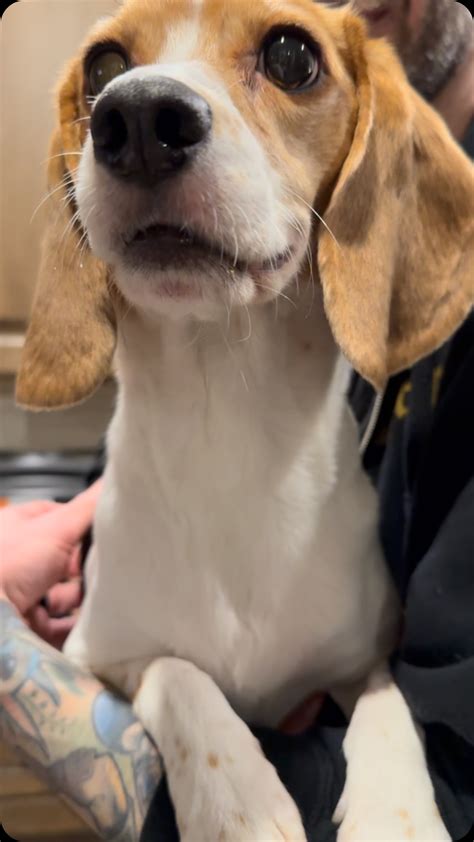 Chompie Time Hope Everyone Has A Great Weekend Shes Fine And Healthy She Just Does This When