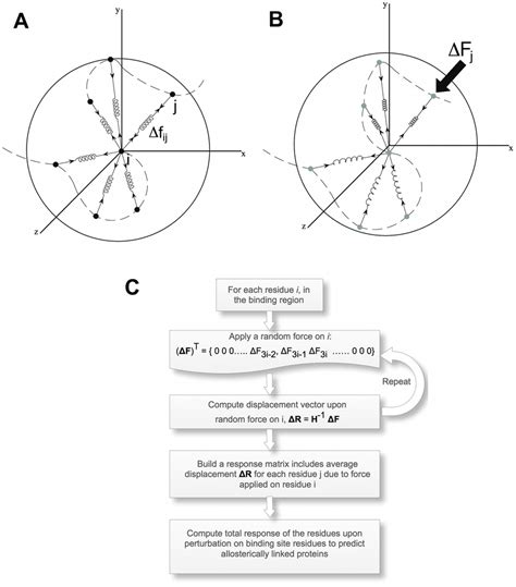 The Perturbation Scanning Response Prs Method A The Free Body