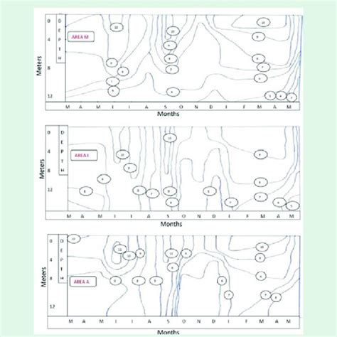 Dissolved Oxygen Variation With Depth At Different Months In Sea Water