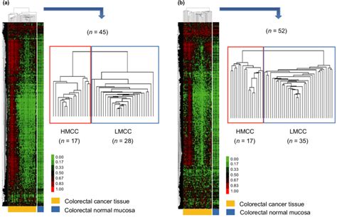 Unsupervised Non Hierarchical Clustering Of Results Of Genome Wide Dna Download Scientific
