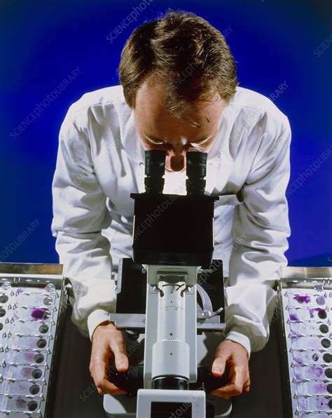 Vaginal Swab Analysis Stock Image M874 0341 Science Photo Library