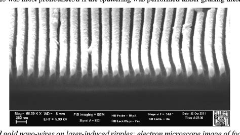 Figure 3 From Laser Induced Periodic Surface Structures Lipss On Polymer Surfaces Semantic