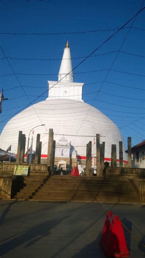 බෞද්ධ දර්ශනය බෝධීන් වහන්සේට කිරිපිඩු පූජාව සකසන ආකාරය බෝධීන් වහන්සේට පුජා කිරීමට කිරිපිඩු සදා