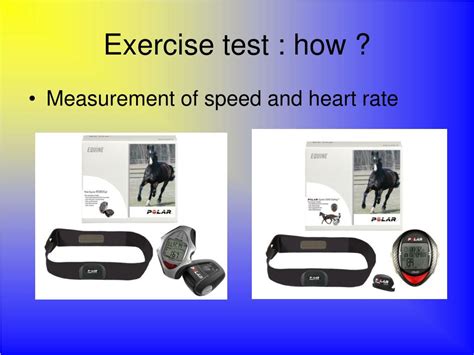 Ppt Exercise Test In The Field Powerpoint Presentation Free Download