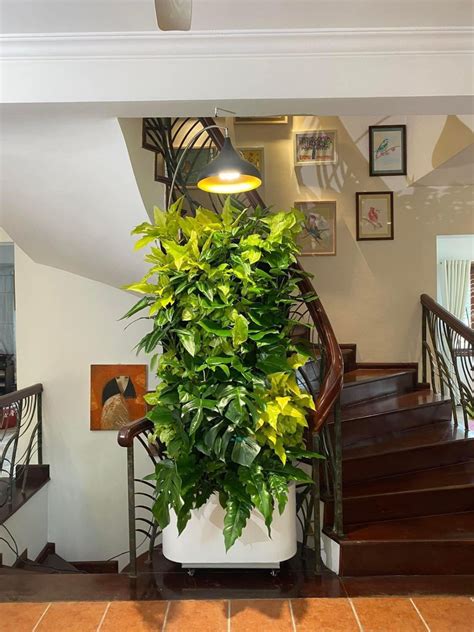 le hoang anh hal on linkedin our brand new “vertical xanh” rare