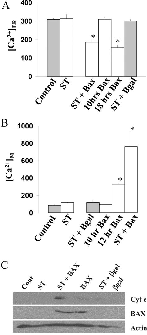 Bax Mediated Ca2 Mobilization Promotes Cytochrome C Release During Apoptosis Journal Of