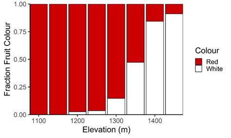2 relative frequencies of red and white fruit morphs across the