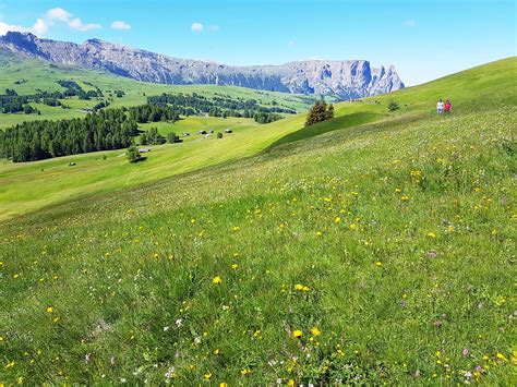 돌로미티 오르티세이 알페디시우시 세체다 트레킹 정보
