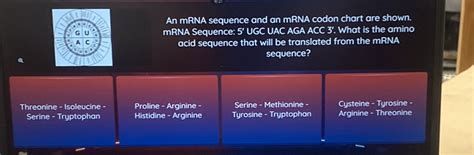 An Mrna Sequence And An Mrna Codon Chart Are Shown Mrna Sequence 5