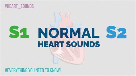 S S And Splitting Of S Normal Heart Sounds YouTube