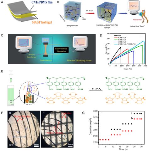 Recent Progress On Pedot‐based Wearable Bioelectronics Zhang 2022 View Wiley Online Library