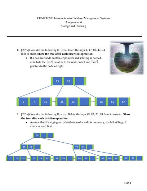 comp3278b introduction to database management