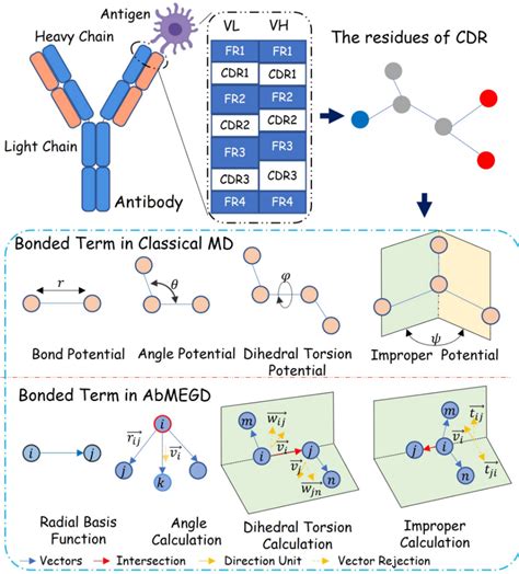 论文评述 Antibody Design And Optimization With Multi Scale Equivariant Graph Diffusion Models For