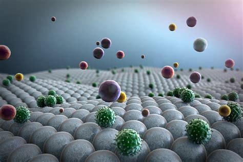 Common Variable Immunodeficiency Diagnosis Symptoms And Treatment