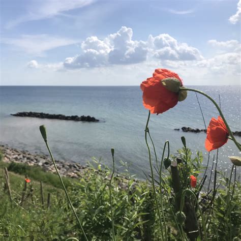 Diffraction Archives Adventures In Oceanography And Teaching