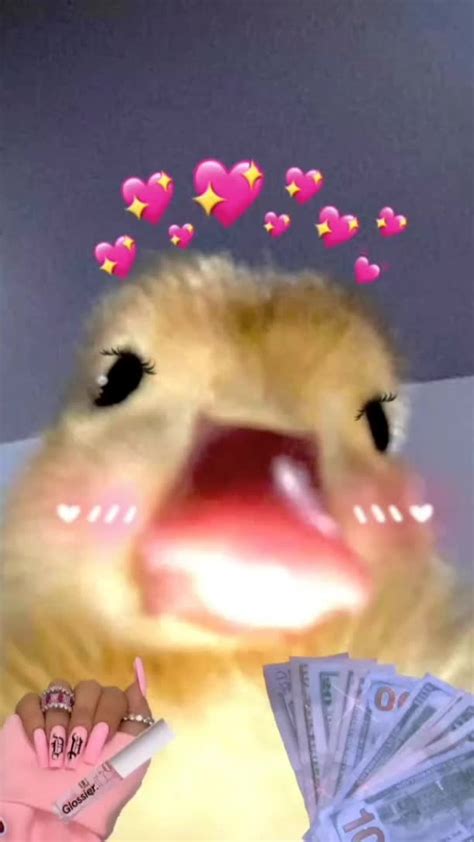 Duck Pfp