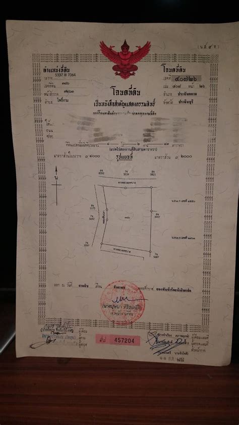 ขายที่ดินพร้อมสวนผลไม้นานาพันธุ์ ที่ดินร้อยแปด คอม