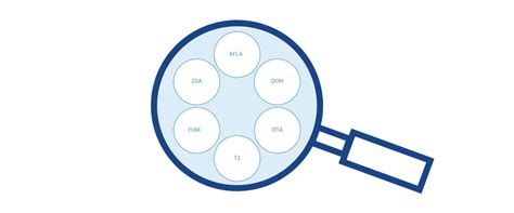 Mycofoss™ Fully Automated Mycotoxin Testing In Just A Few Minutes
