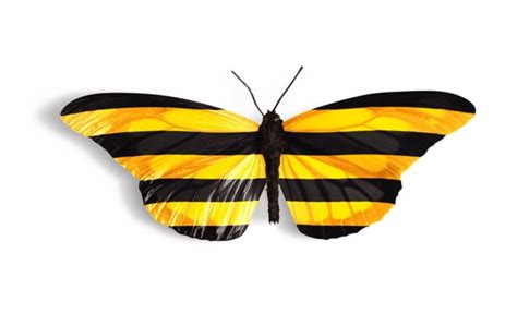 Самый дешевый тариф Билайн с интернетом | блог GIGAsim