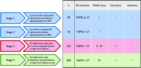 Stages Of Right Heart Failure Defined By Clinical And Echocardiographic