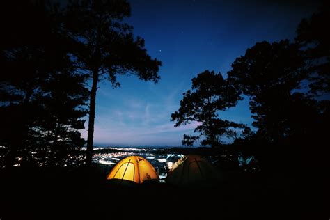 경치 경치 좋은 전망 광야 나무 도시 풍경 도시의 불빛 맑은 하늘 모험 밤 밤 사진 밤하늘 별 별을 바라보는 불빛 소나무 숲 실루엣 야간