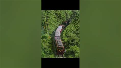 ලංකාවේ තේ සන්නාමය ලොවට ගෙන ගිය වටවල ගම්මානය 🌱☕ Youtube