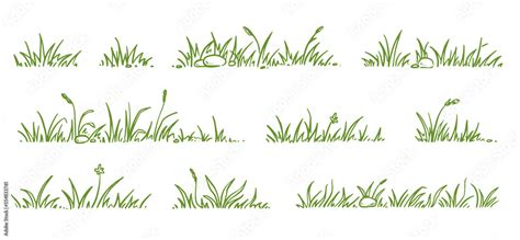 Grass Doodle Sketch Style Set Hand Drawn Grass Field Outline Scribble