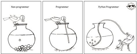 What Is Python Good For Why Beginner Should Learn Python Hackernoon